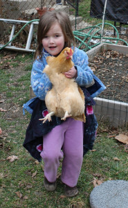 Join Us: Hug A Chicken Day 2014 | Community Chickens