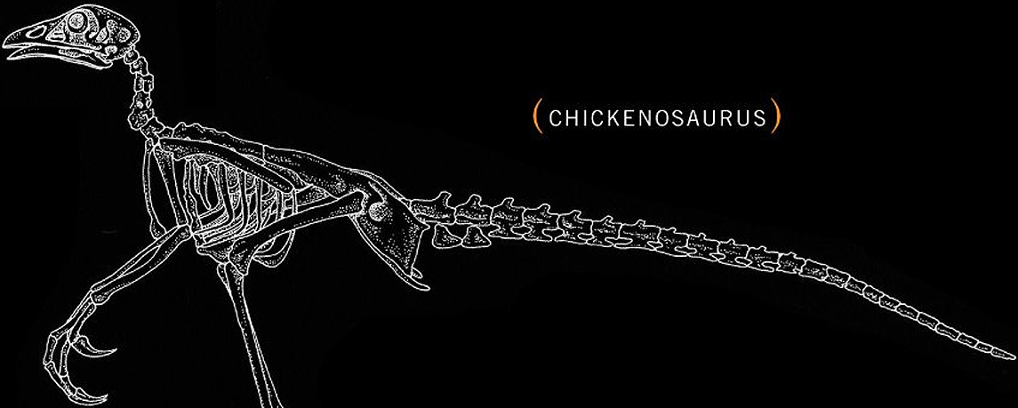 Chicken With Teeth Atavism
