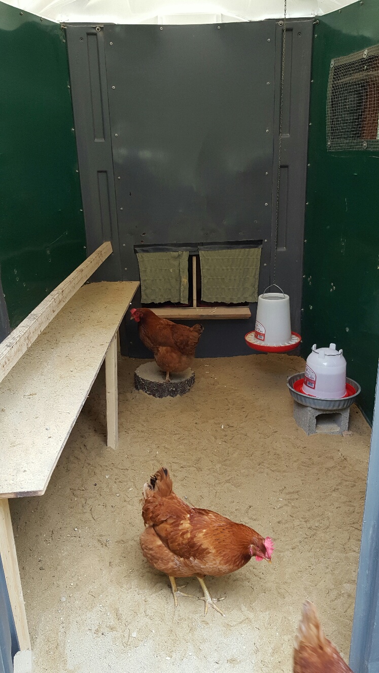Cool Coops! - "The Porta Potty Coop" | Community Chickens