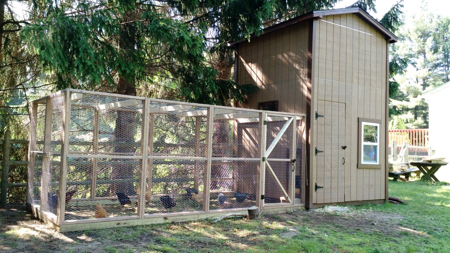 Cool Coops! - The Fort Coop | Community Chickens