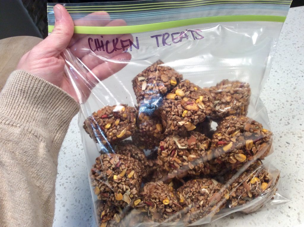 A Recipe To Prevent Winter Boredom: Homemade Seed Block & Dust Bath ...