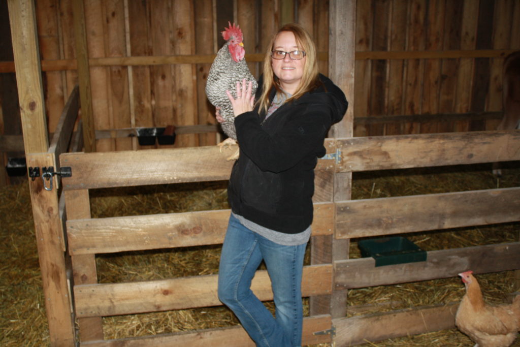 Breeds That Work For Your Needs! | Community Chickens