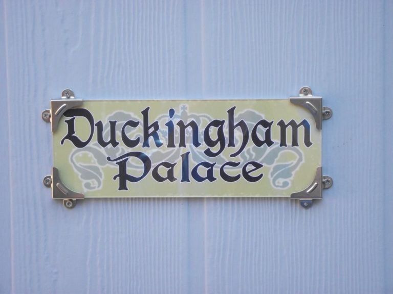 Duckingham Palace | Community Chickens