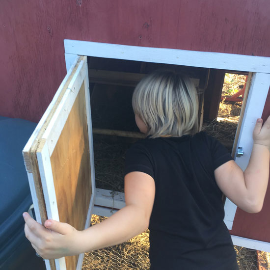 Update* How a 7-year-old challenged me to take the "Feed Greatness ...