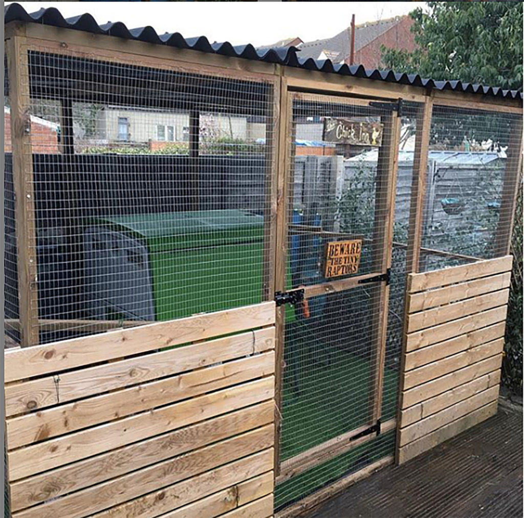 Rescued Hens | Community Chickens