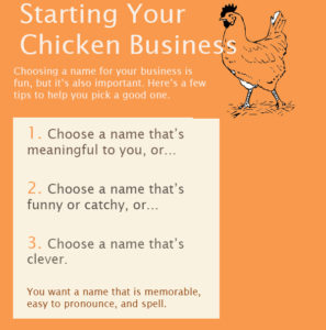 How to Start a Chicken Business | Community Chickens