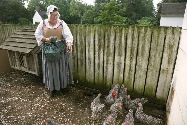 Chickens and Heritage Sites | Community Chickens