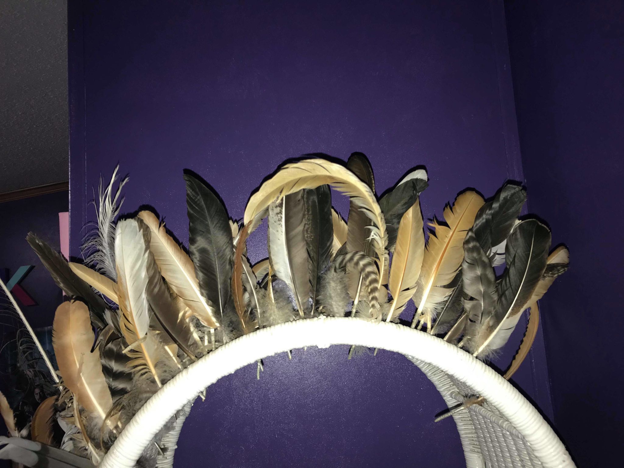 Saving and displaying feathers | Community Chickens