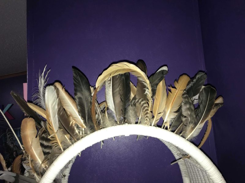 Saving and displaying feathers | Community Chickens