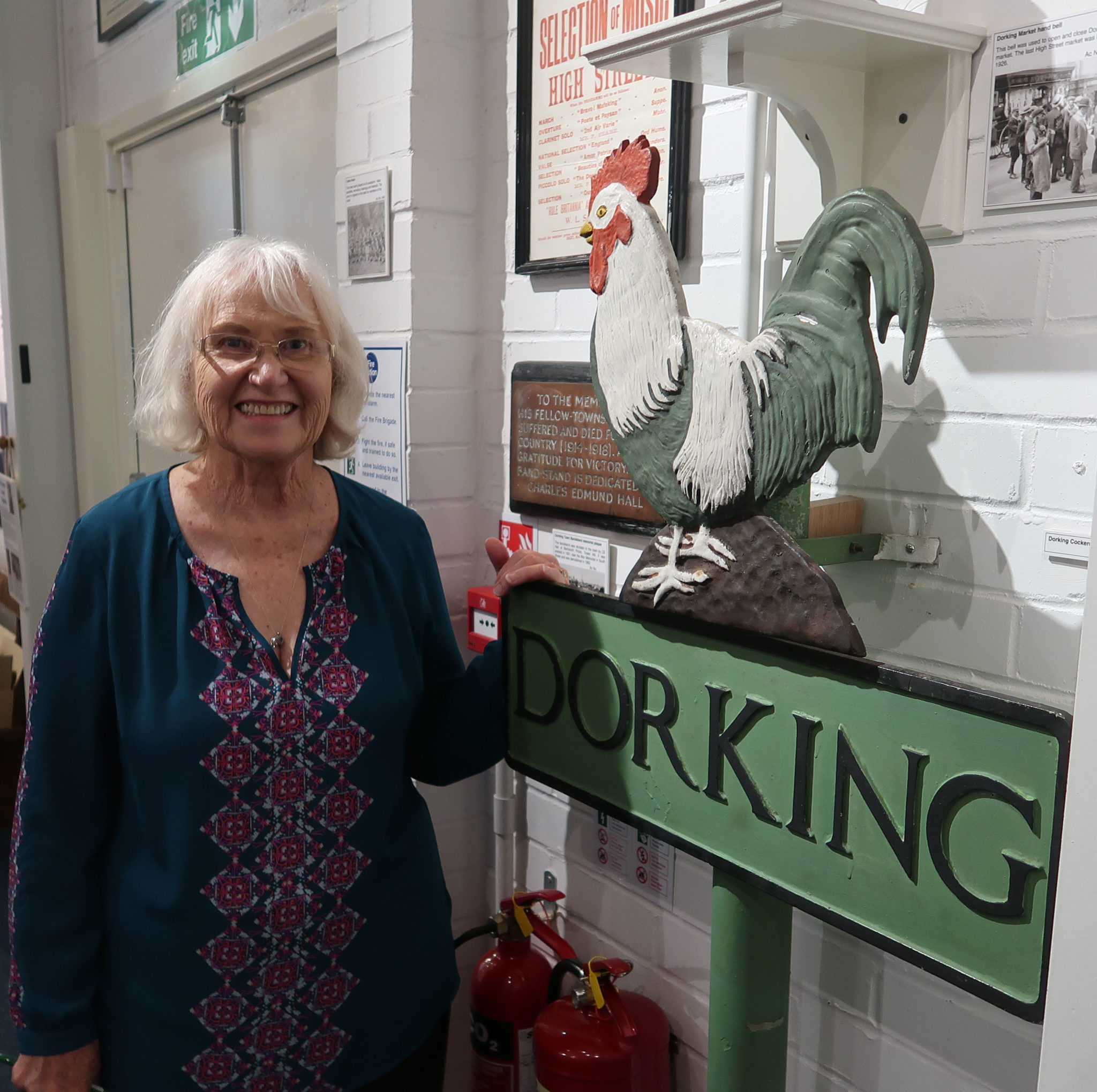 Visiting English Chickens | Community Chickens