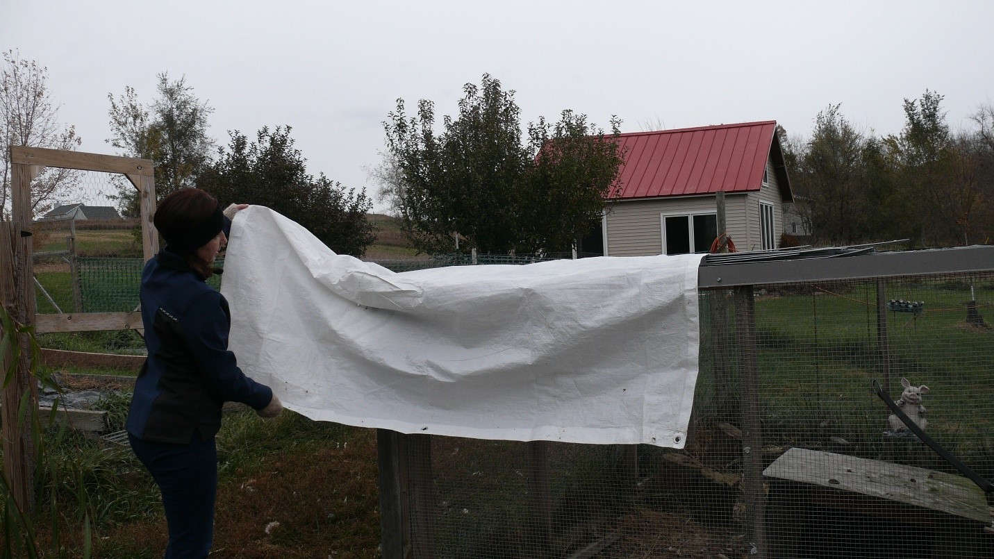 Winter Poultry Prep | Community Chickens