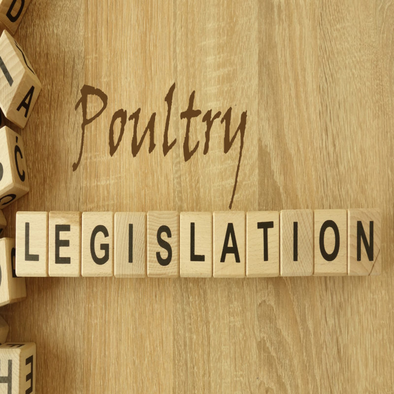 Chicken Processing Regulations | Community Chickens