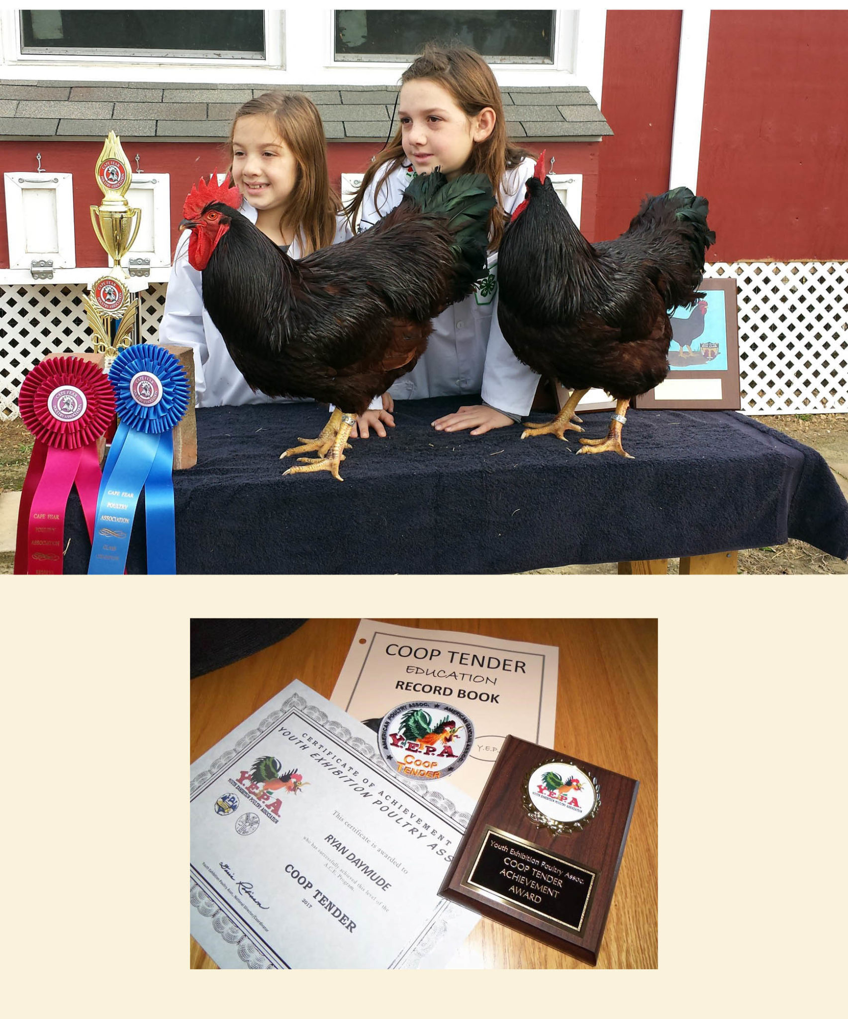 Poultry Organizations | Community Chickens