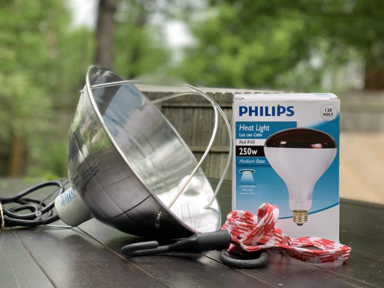 Make an Easy DIY Brooder | Community Chickens