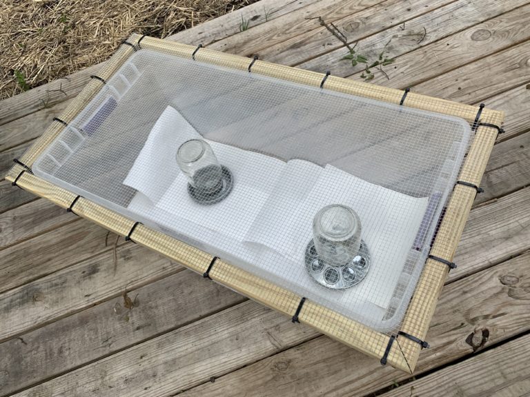 Make an Easy DIY Brooder | Community Chickens