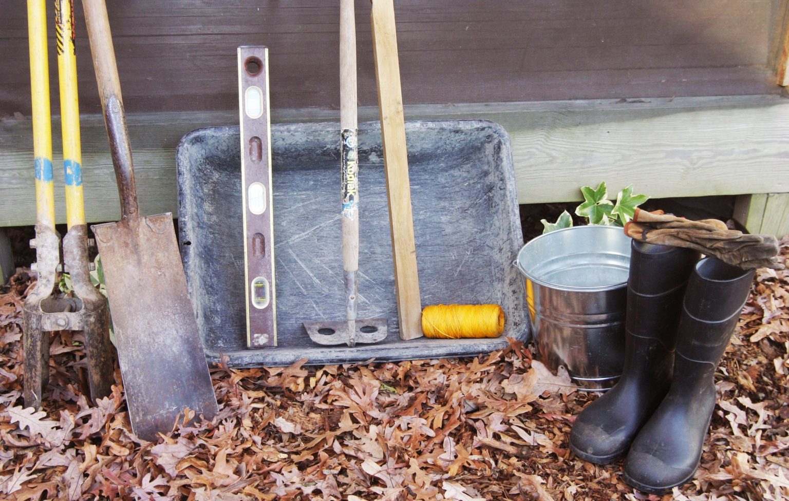 Get the Most From Your Post | Community Chickens